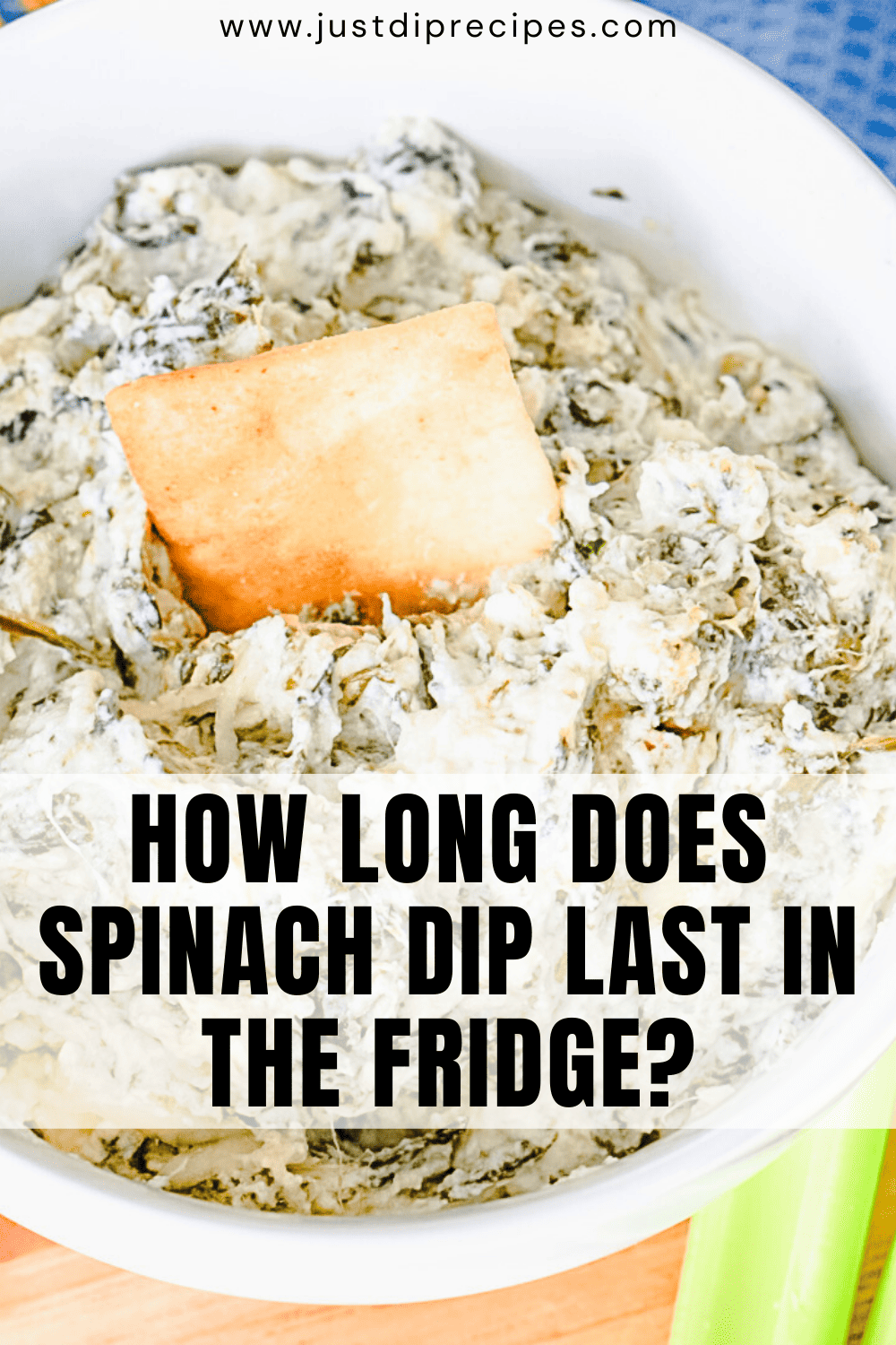 How Long Does Spinach Dip Last in the Fridge - Just Dip Recipes