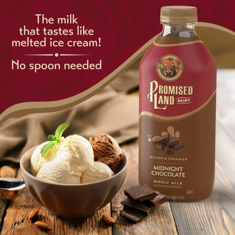 9 Chocolate Milk Brands Ranked by Taste - Just Dip Recipes