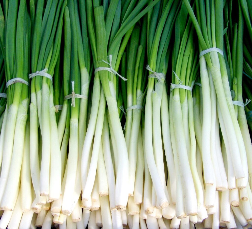 What Really Sets Chives Apart from Green Onions - Just Dip Recipes