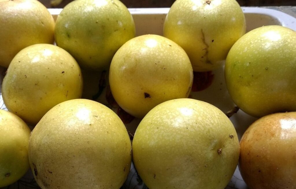 11 Fruits That Are Banned in Other Countries - Just Dip Recipes